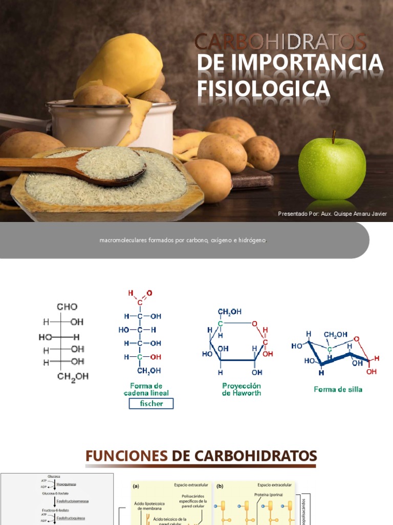 Funciones y Clases de Carbohidratos | PDF