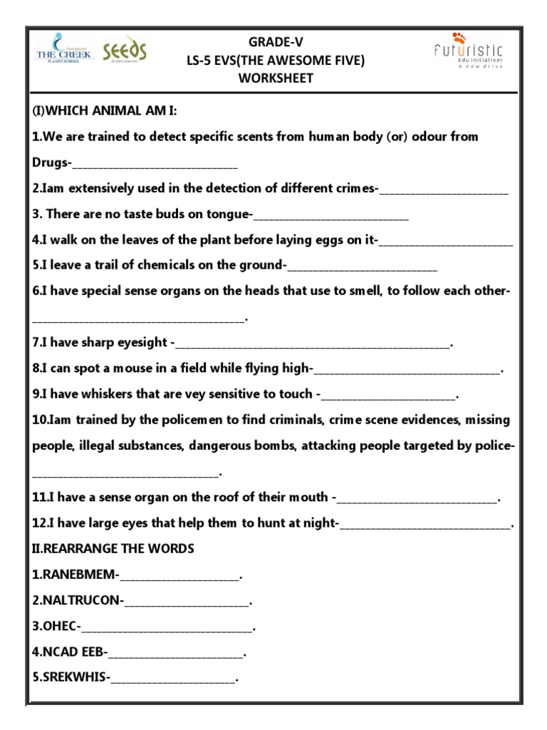 Grade-V Ls-5 Evs (The Awesome Five) Worksheet | PDF