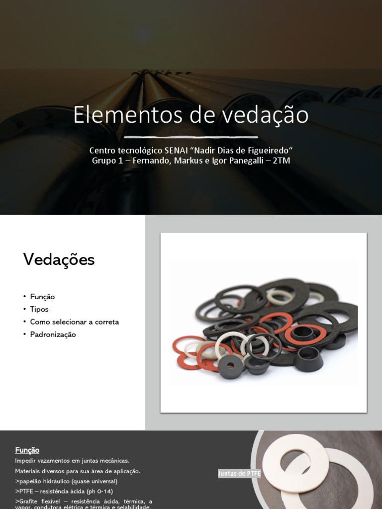 Elementos de Vedação Mecânica e Tipos | PDF