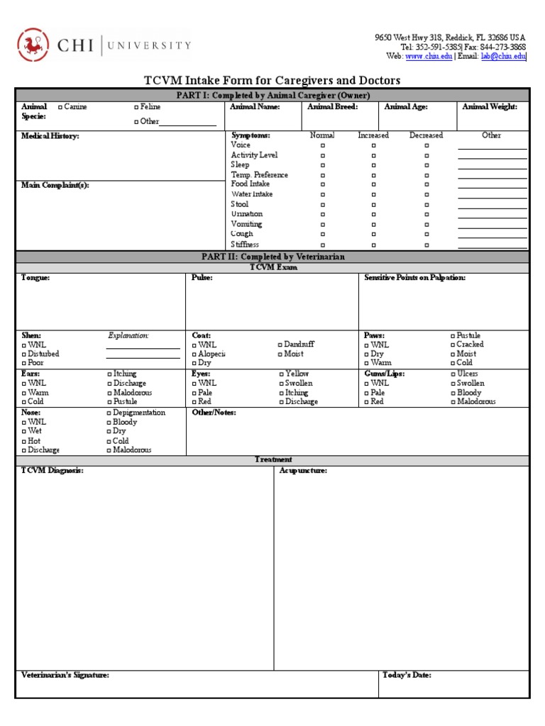 Chi U - Small Animal Intake Form and Treatment Form | PDF