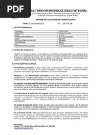 Informe Ejemplo Wisc V | PDF | Memoria | Memoria de trabajo