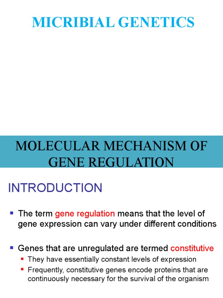 5 Molecular Mechanisms of Gene Regulation | PDF | Operon | Repressor