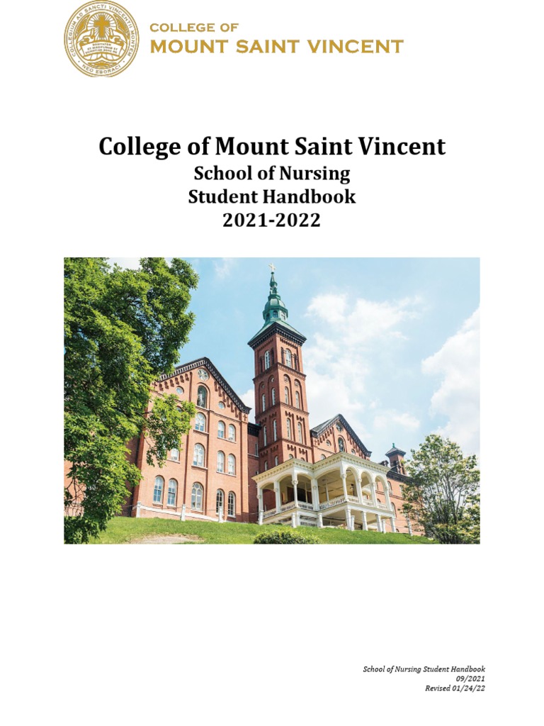 Undergraduate Nursing Student Handbook | PDF