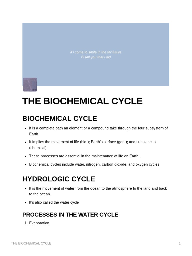 3 The - Biochemical - Cycle | PDF | Oxygen | Soil
