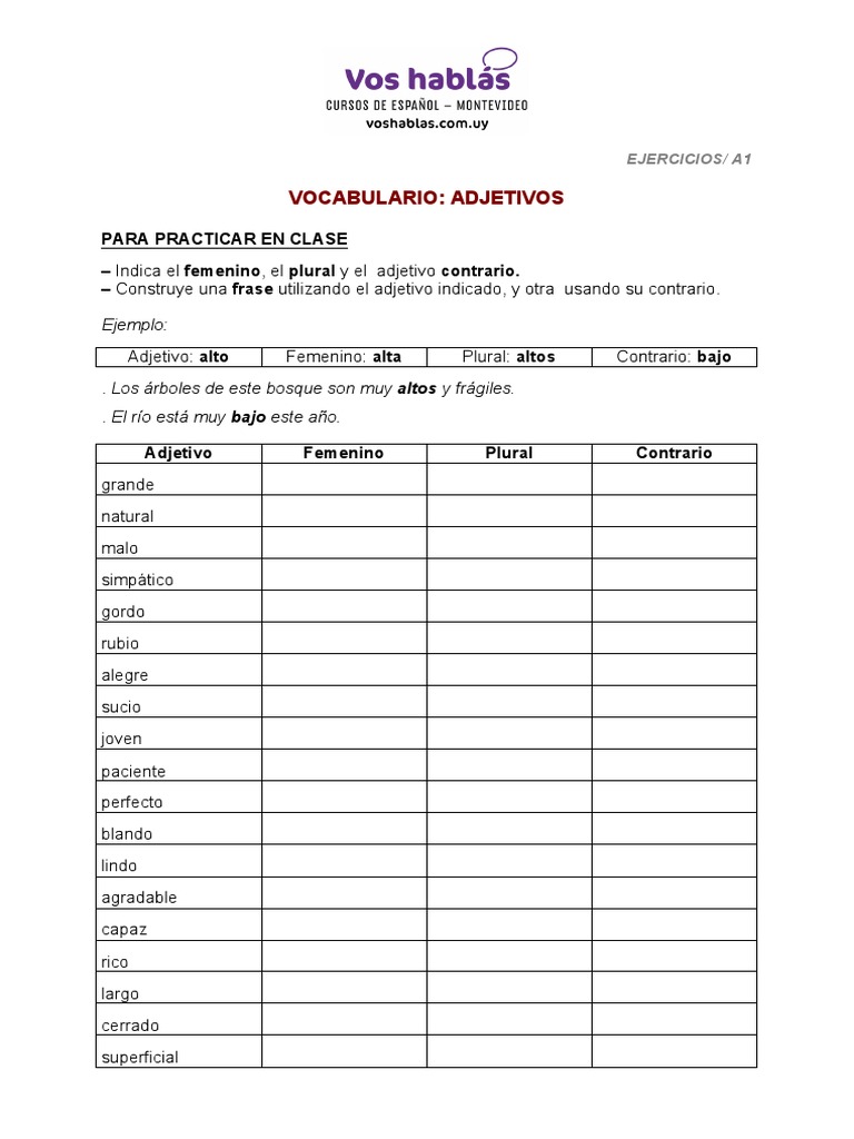 Adjetivos Vocabulario Pdf