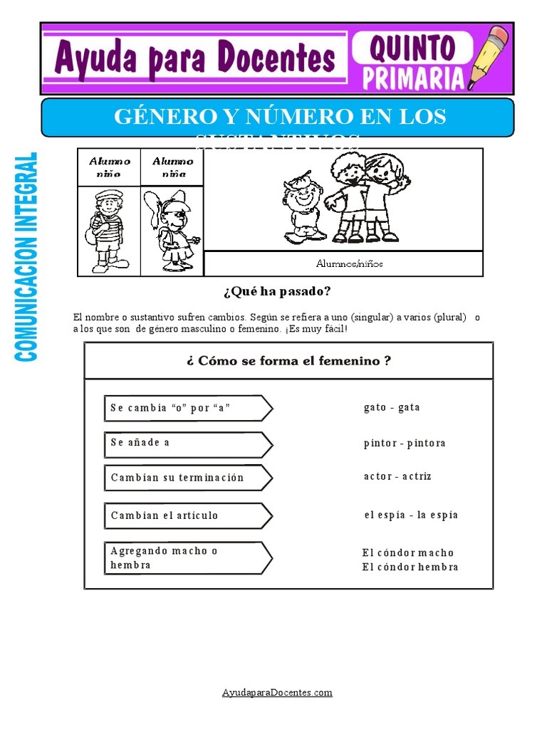 Genero y Numero de Los Sustantivos para Quinto de Primaria | PDF