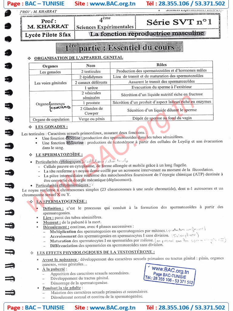 Résumé Svt - Bac Science - Lycée Pilote Sfax | PDF