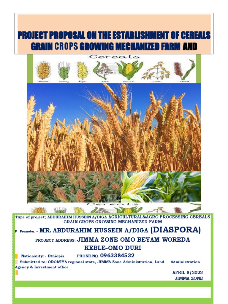 Abdurahim Cereal Omo Beyam | PDF
