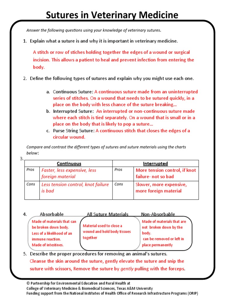 KEY-Sutures-Activity-Worksheet-and-Tips | PDF
