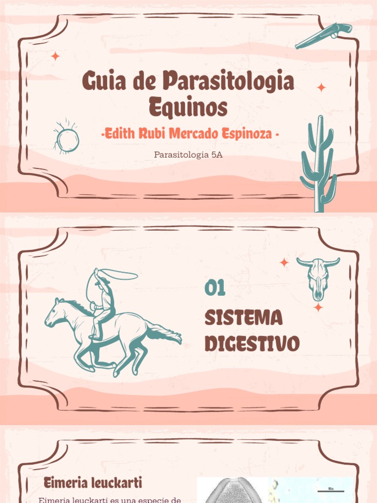 Guia Equino ERME 5A | PDF | Especialidades Medicas | Medicina CLINICA