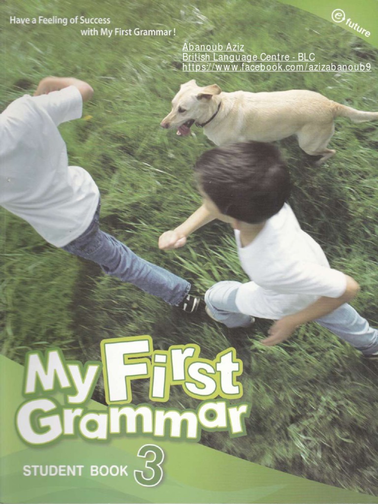1my First Grammar 3 Student Book Abanoub Aziz | PDF
