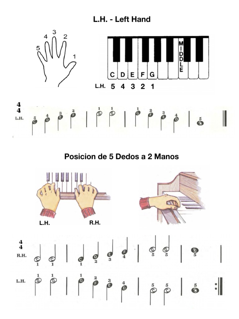 Piano Left Hand | PDF