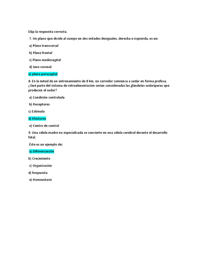 Preguntas 7 8 9 Morfofuncion | PDF