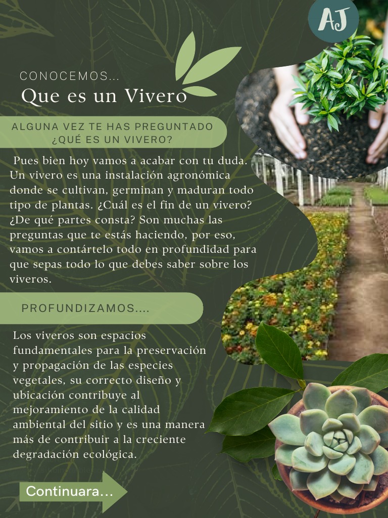¿Qué Es Un Vivero? Descripción... A.J | PDF