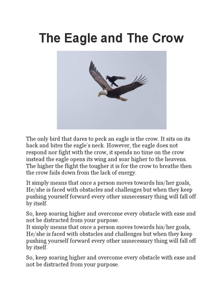 The Eagle and The Crow | PDF