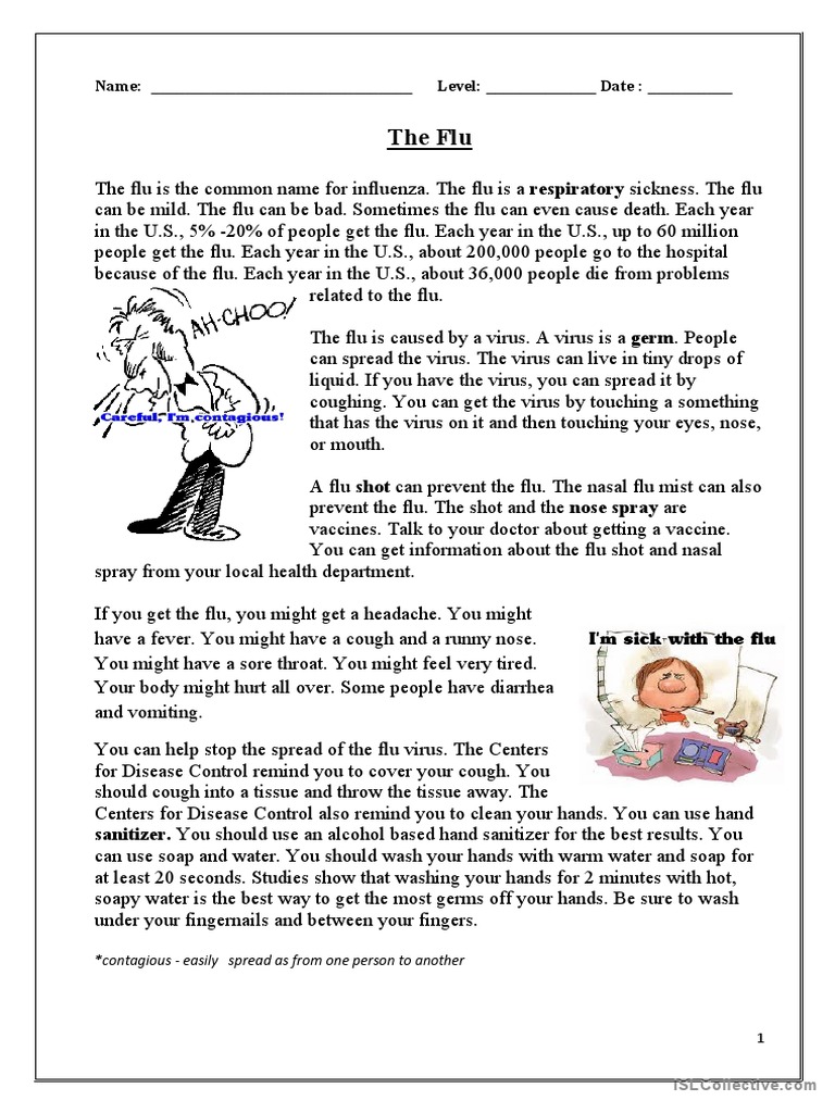Flu | PDF