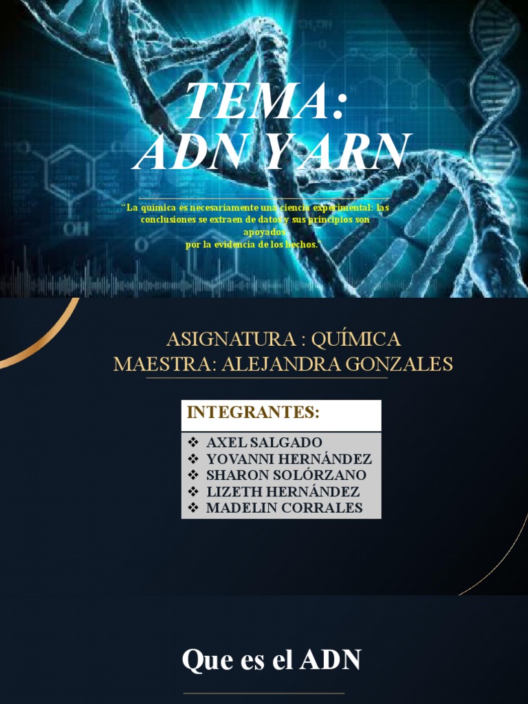 Presentacion ADN y ARN | PDF