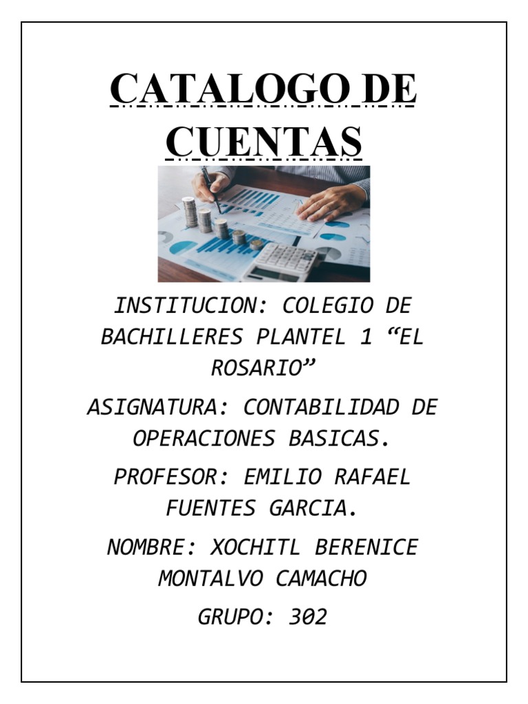 Catalogo de Cuentas | PDF