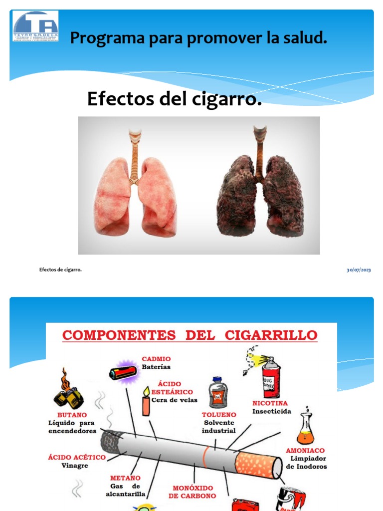 Efectos Del Cigarro | PDF