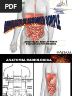 Radiografia de Abdomen | PDF | Abdomen | Anatomía