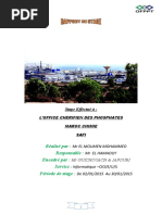 Organigramme Et Filiales de OCP | PDF