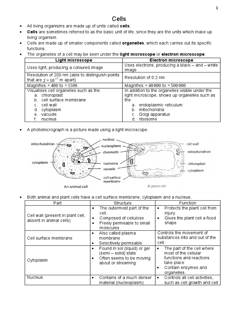 Cells Note | PDF | Tissue (Biology) | Cell (Biology)