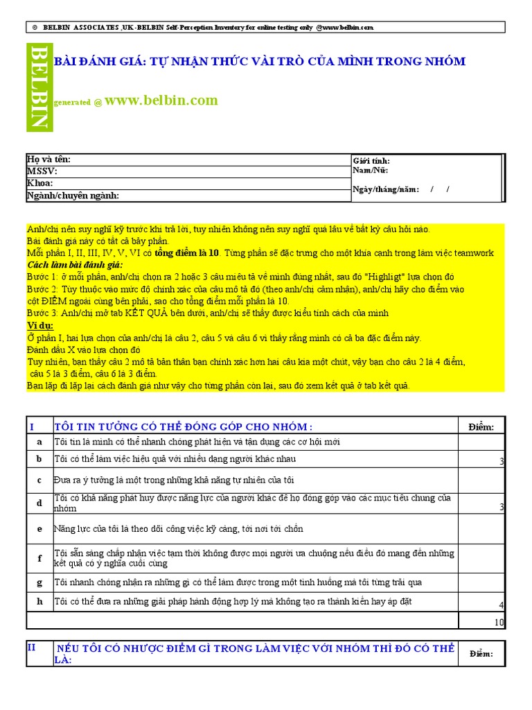 Belbin Test | PDF