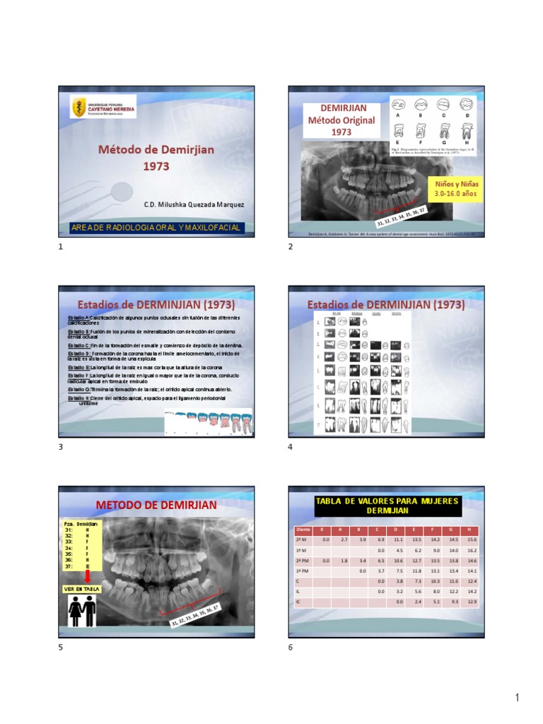 Metodo de Demirjian | Descargar gratis PDF | Cara | Rasgos faciales