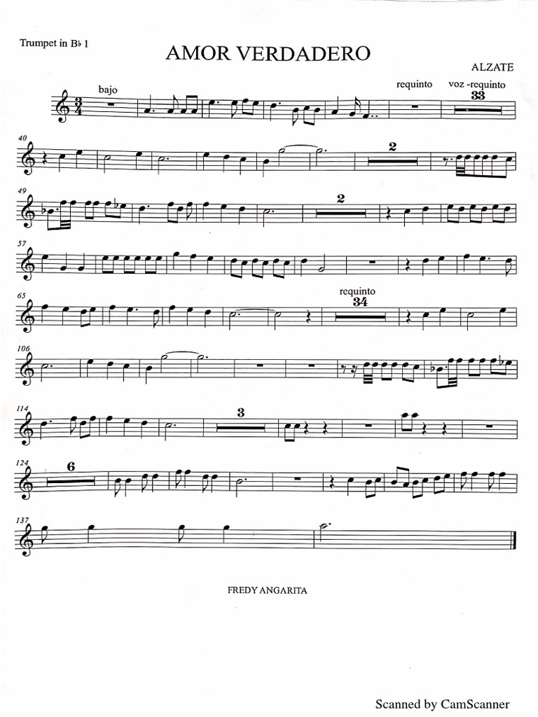 Scanned Document Viewer Guide | PDF