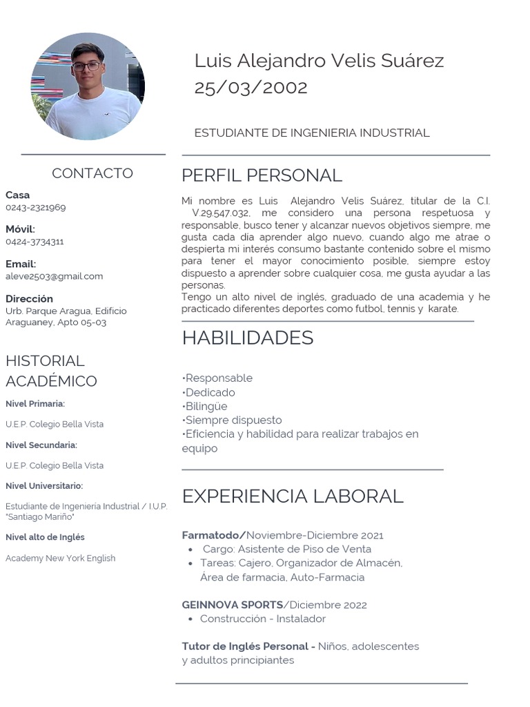 Curriculum Luis Velis | PDF