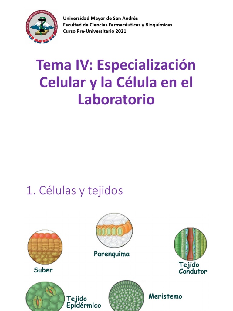 Tema IV | PDF | Tinción | Leucocito