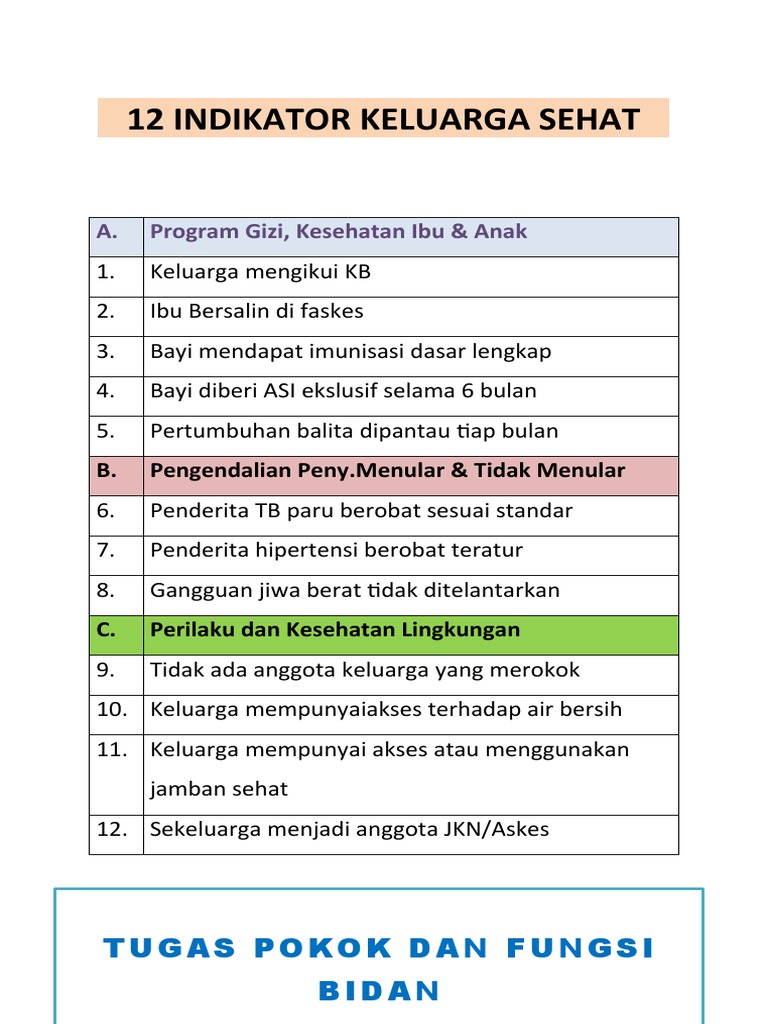 12 Indikator PIS PK | PDF | Kesehatan Holistik
