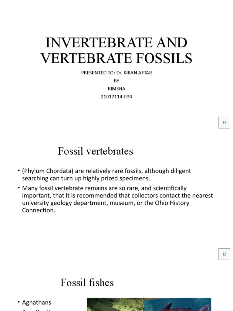 Fossils | PDF | Fossil | Earth Sciences
