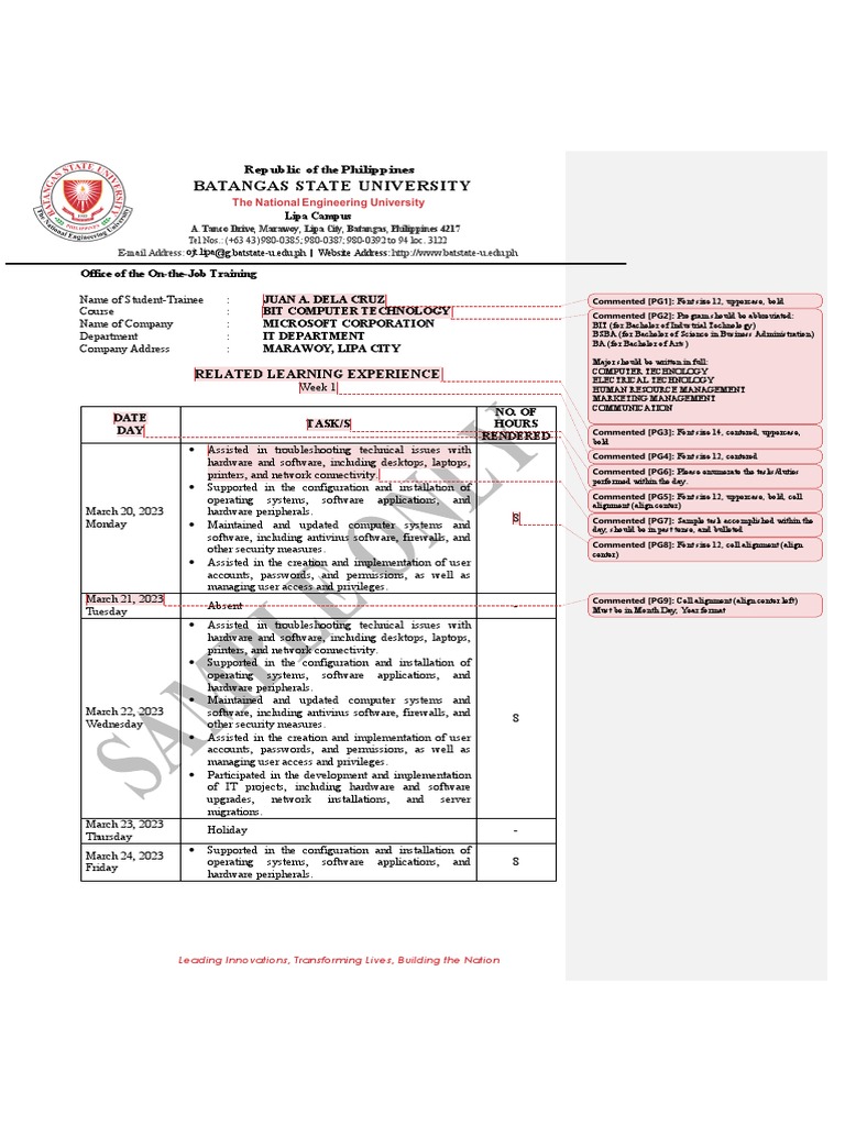 Ojt Related Learning Experience Sample With Comments 3 | PDF | Computer ...