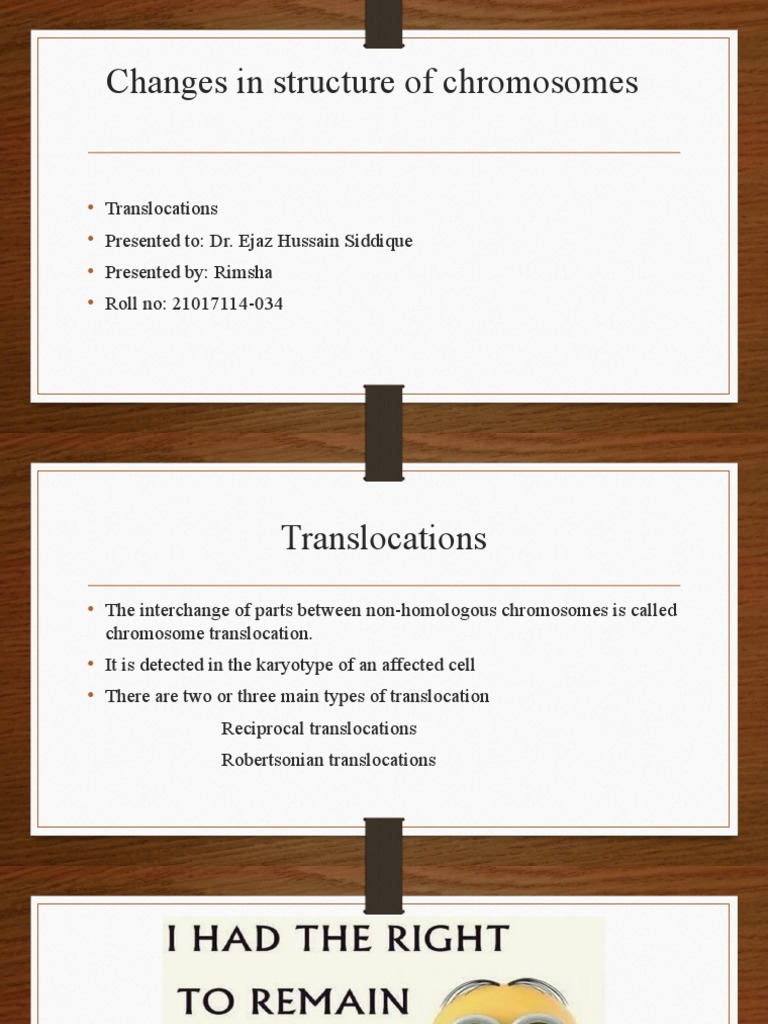 Cell Biology Translocation | PDF