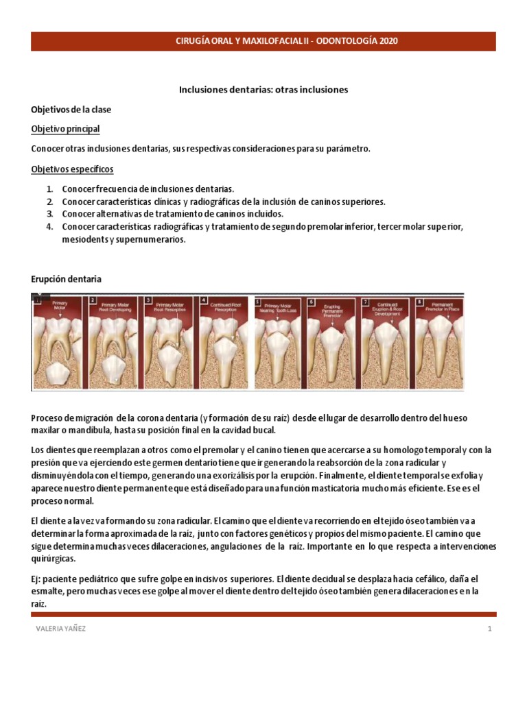 Clase N°6 - Otras Inclusiones | PDF | Odontología | Ortodoncia
