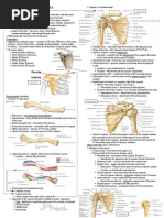 Deltopectoral Approach for Humerus Surgery | PDF | Anatomical Terms Of ...