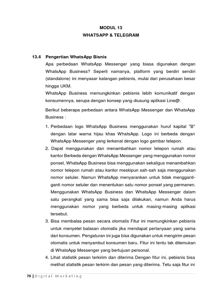 Modul Digital Marketing 13 | PDF