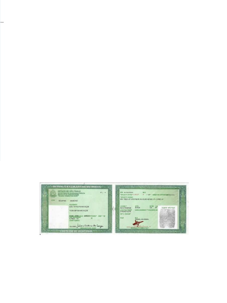 Matriz RG Editavel | PDF