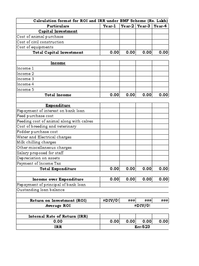 Calculation Format of ROI IRR | PDF