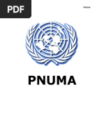 PNUMA: Objetivos y Funciones 2024 | PDF | Programa del Medio Ambiente ...