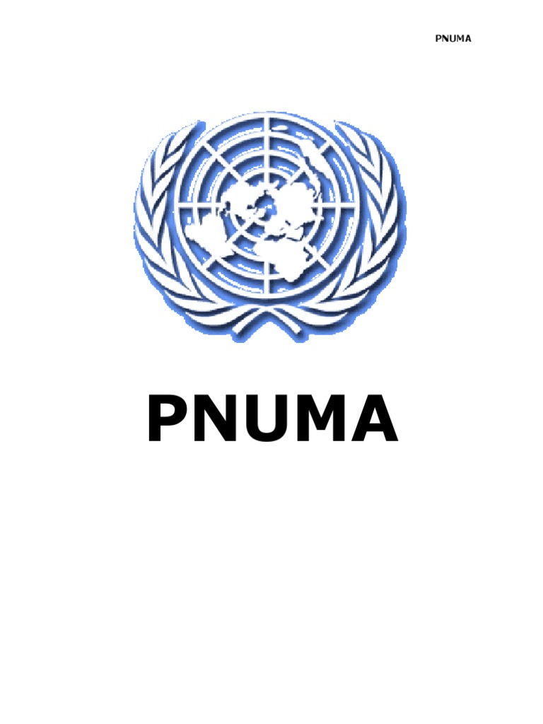 Pnuma (Programa de Naciones Unidas para El Medio Ambiente) 2023 | PDF ...