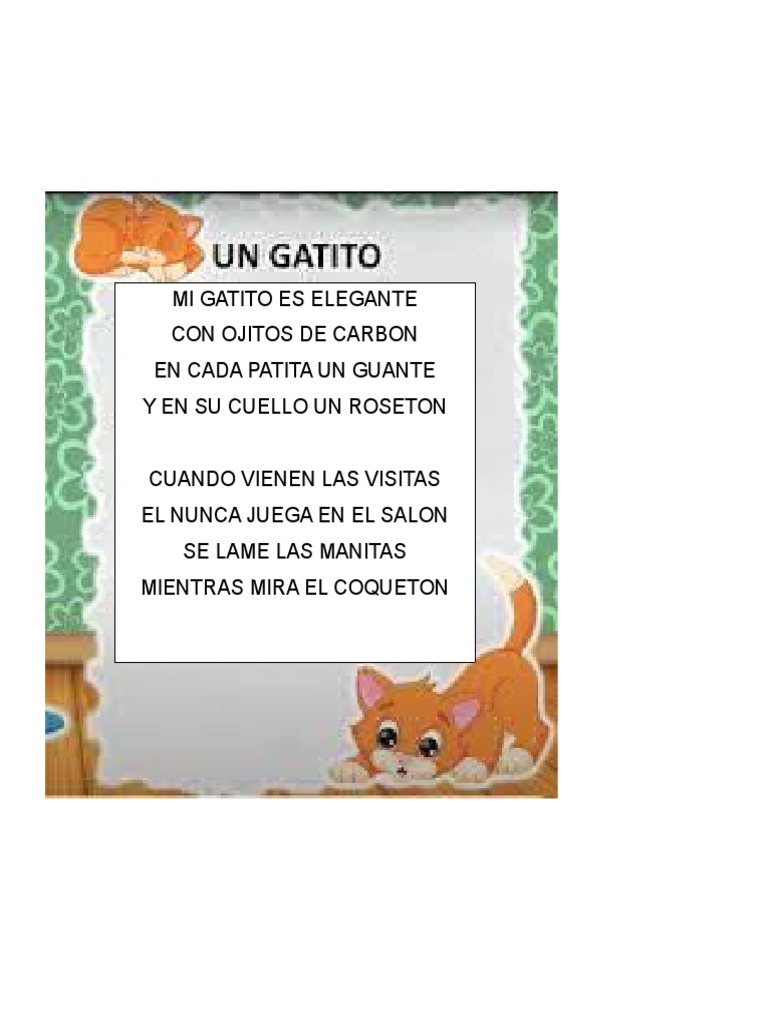 Gatito | PDF