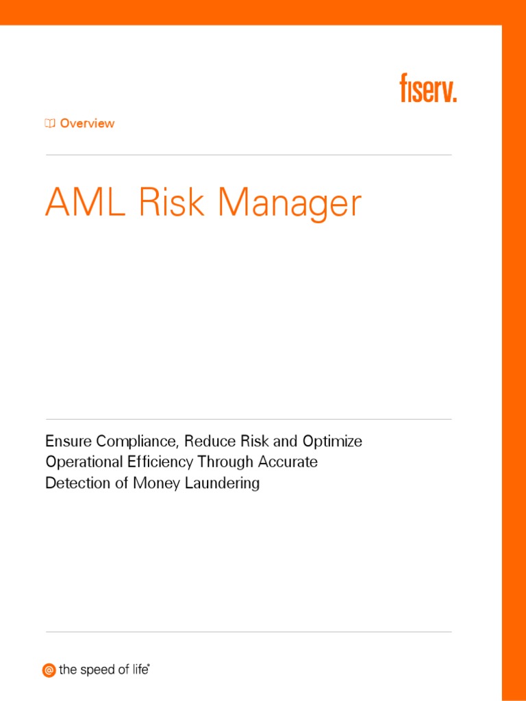 AML Risk Manager Financial Institutions Brochure 0521 | PDF | Money ...