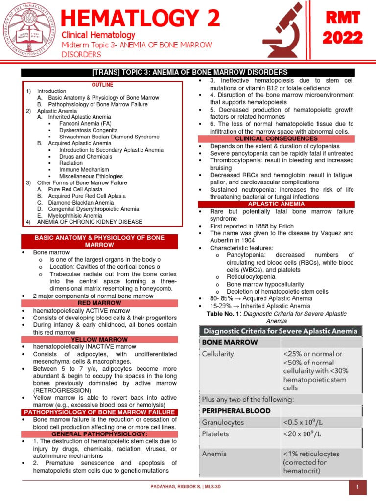 HEMA 2 - Midterm Topic 3 - Anemia of Bone Marrow Disorder | Download Free PDF | Anemia | Bone Marrow