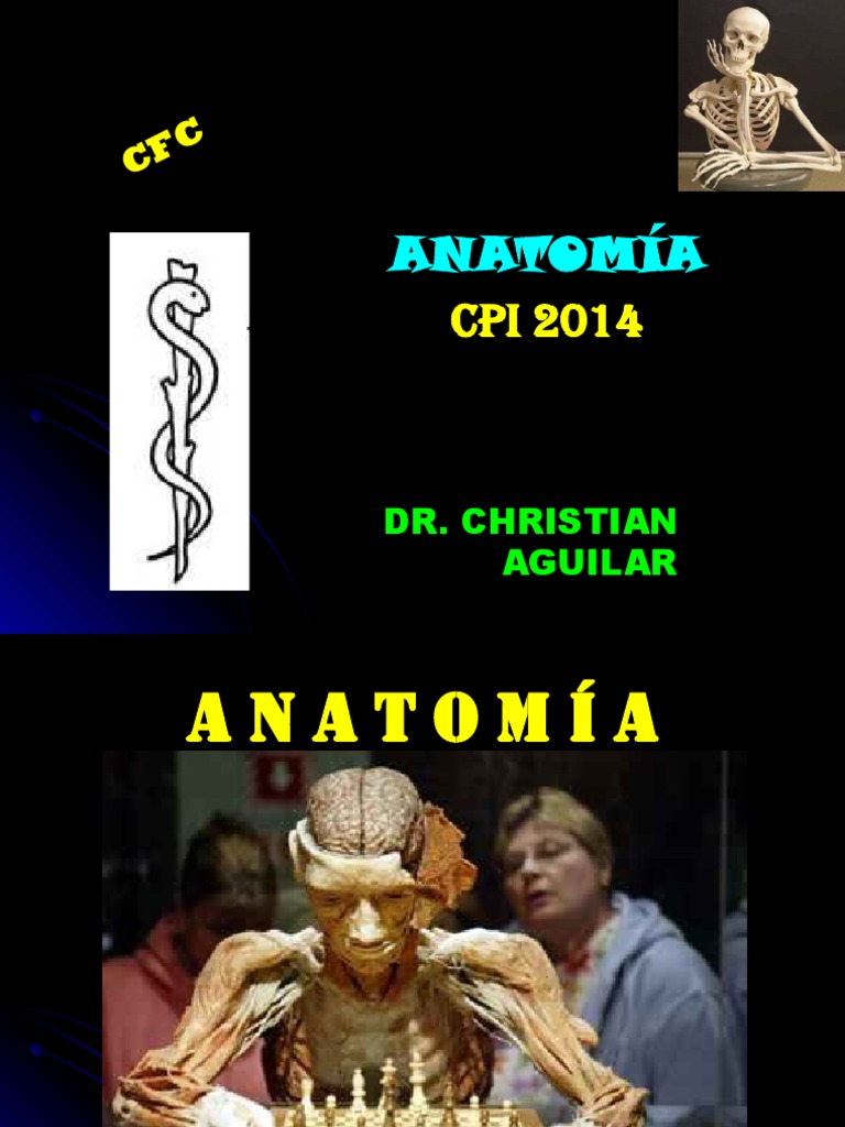 Corazon Generalidades | PDF