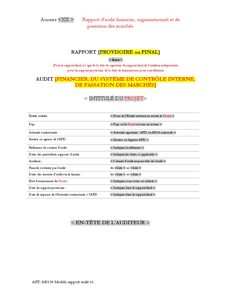 Annexe XI.4 Modele Rapport Audit | PDF | Audit | Risque