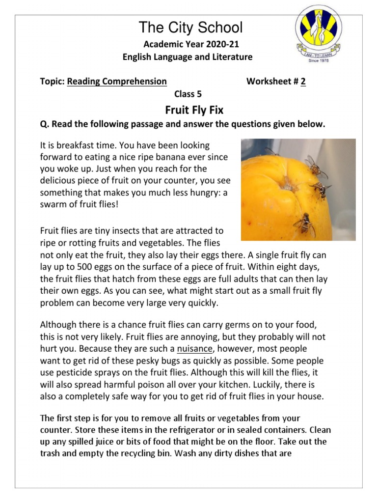 Worksheet 2 Reading | PDF