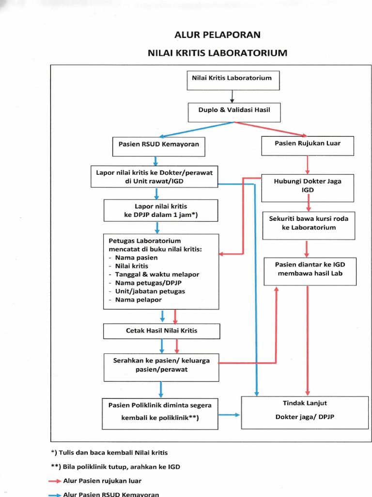 Alur Pelaporan Nilai Kritis | PDF