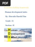 HDI Project Class12 | PDF
